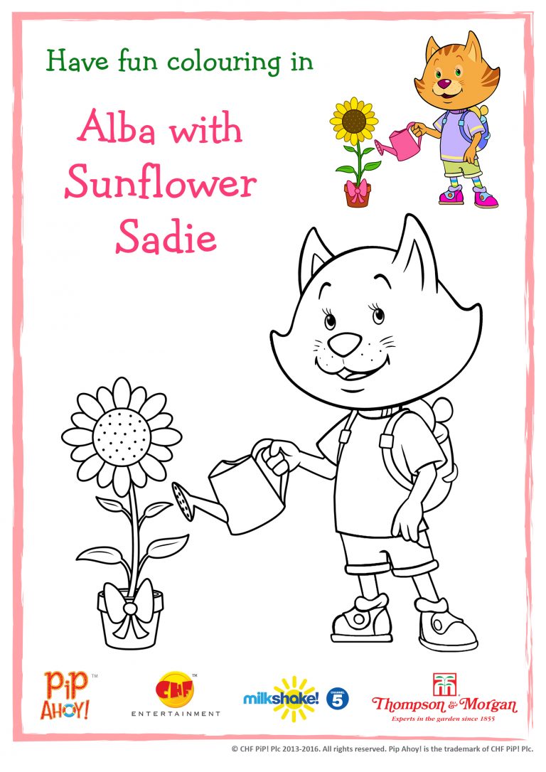 Posters & Colouring In – Pip Ahoy